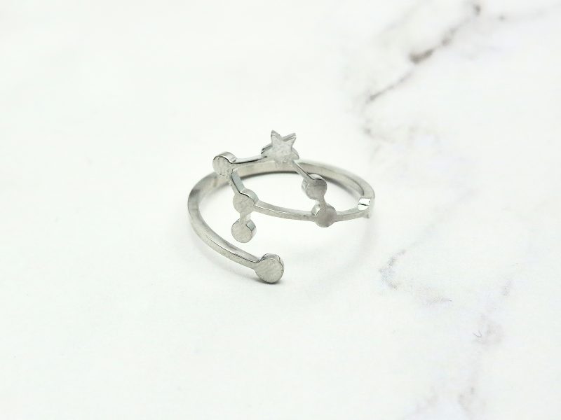 Mei's Viking Ketting | Silver Wolf Moon | Stainless Steel | Zilver ...